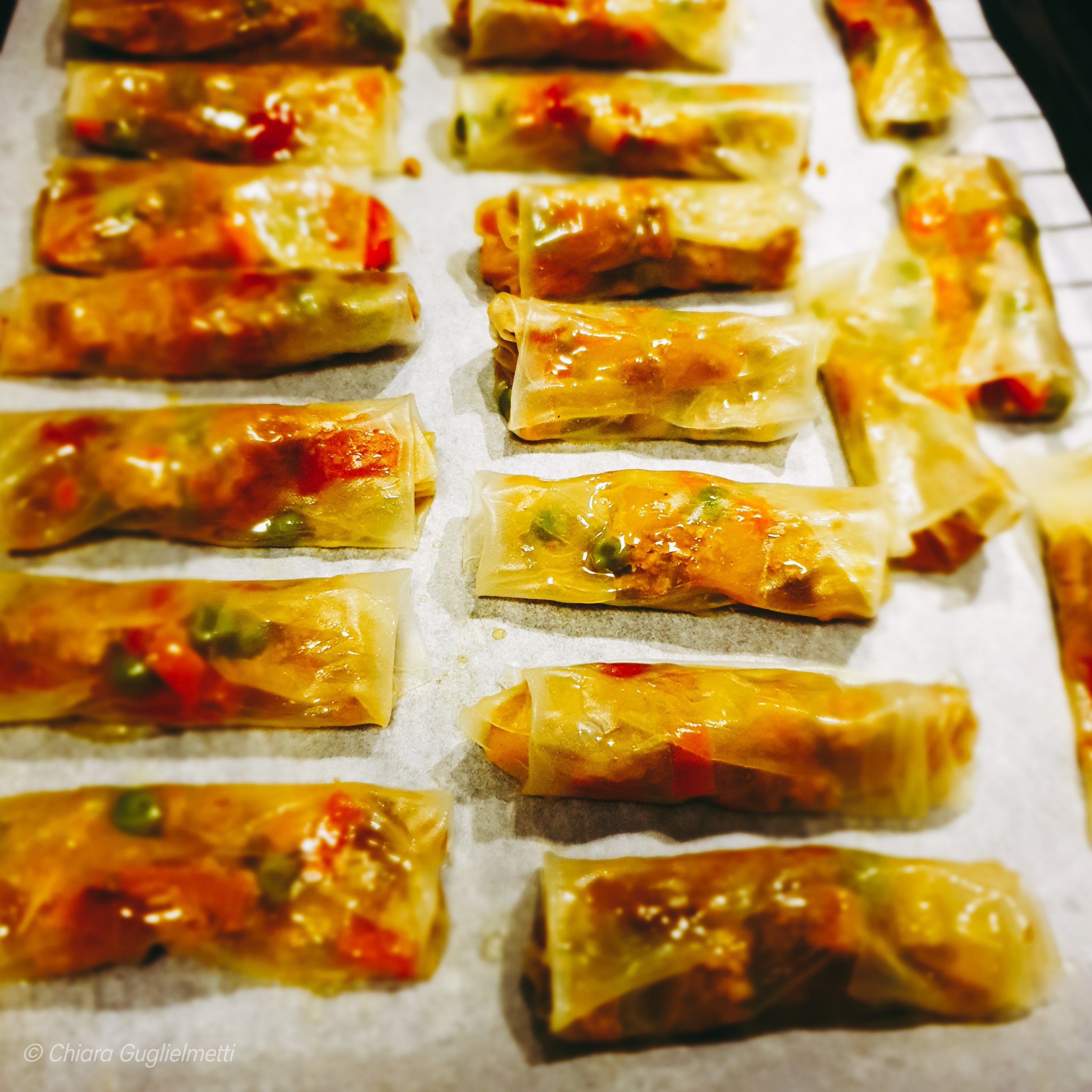 Involtini di carta di riso al forno | Il gusto… senza colpa!